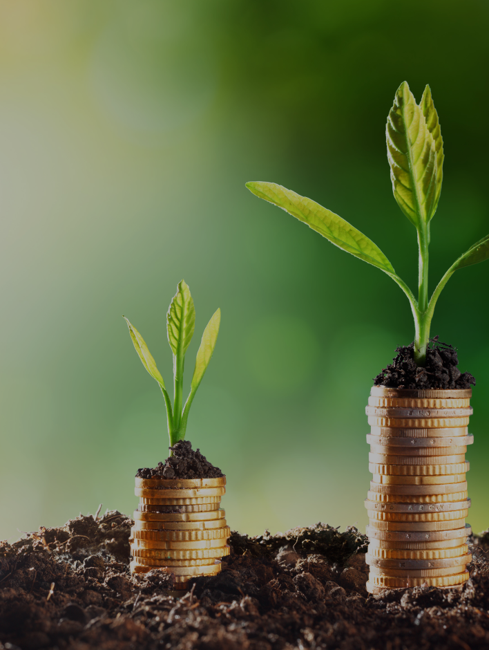 Meristem Nigeria - Wealth Management & Investment Solutions